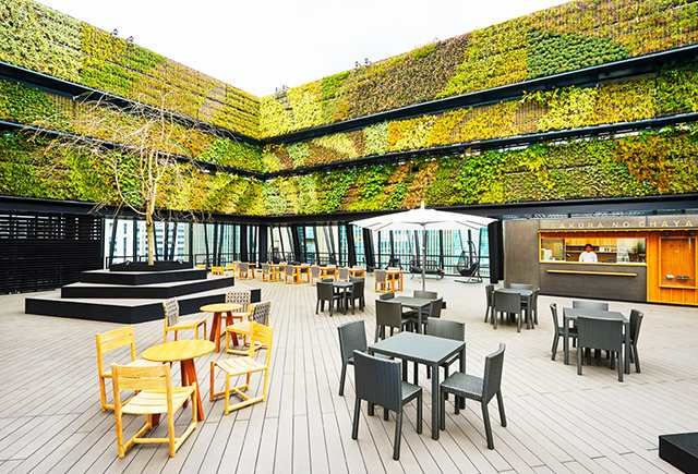 a soothing roof garden | Central Tokyo for Tourism - Tokyo Chuo City's ...